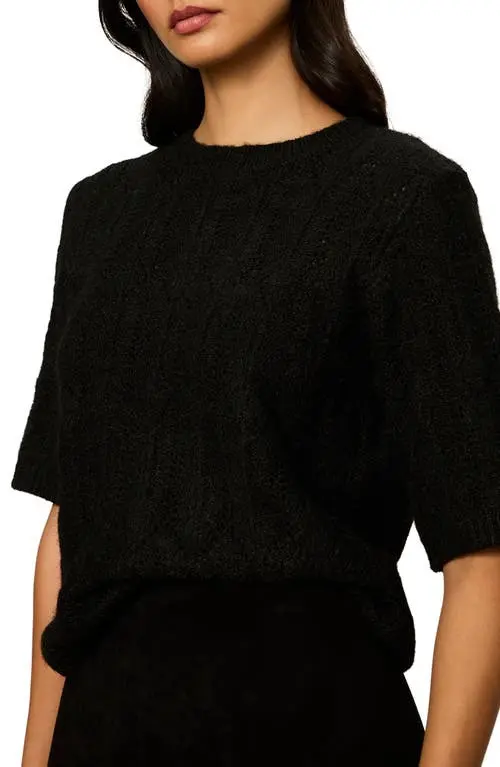 Sanctuary Pointelle Short Sleeve Sweater