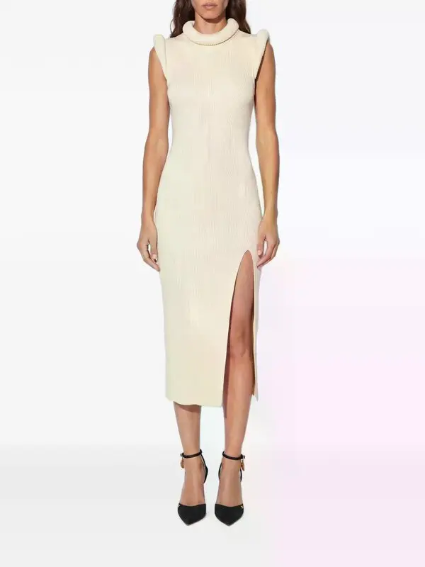 Elisabetta Franchi Knit Dress With 3d Details
