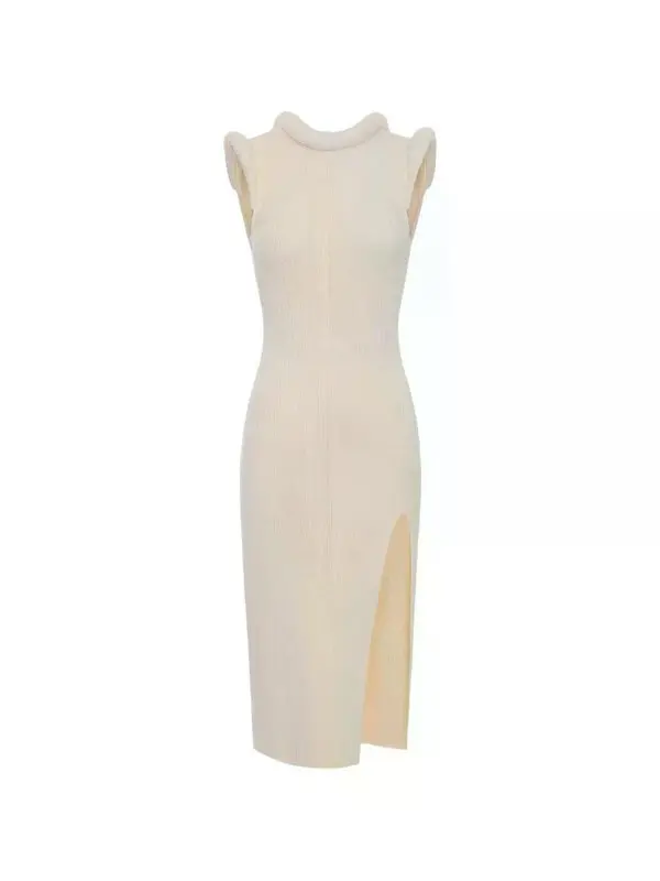 Elisabetta Franchi Knit Dress With 3d Details