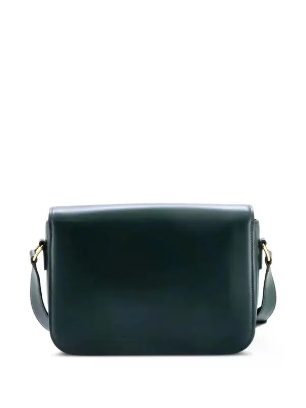 Celine Triomphe Shoulder Bag Smooth Calfskin Medium Crossbody Bag - Green