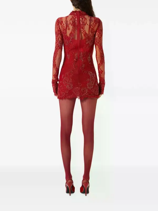 Blumarine Long-sleeve Embroidered Mini Dress