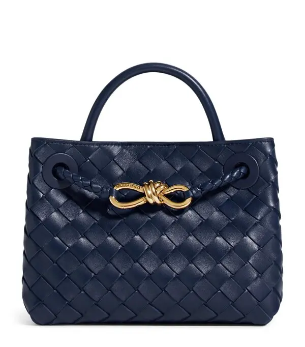Bottega Veneta Mini Leather Andiamo Top-handle Bag