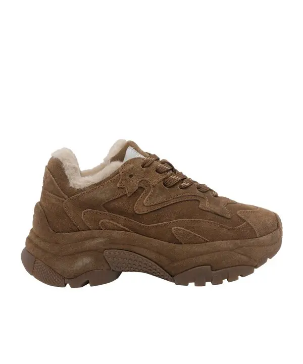 Ash Round-toe Sneakers - No