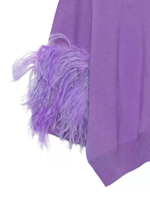 Alberta Ferretti Feather-trim Roll-neck Sweater