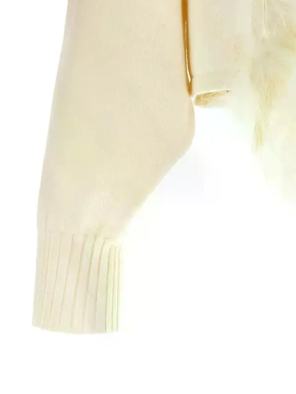 Alberta Ferretti Feather-embellished Cropped Sweater