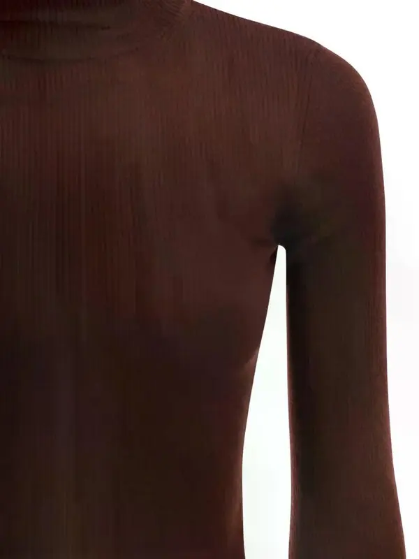 Max Mara Cavallo Ribbed Roll-neck Sweater