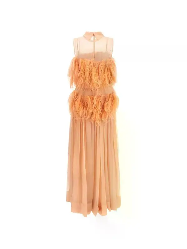 Alberta Ferretti Feather-embellished Silk Maxi Dress