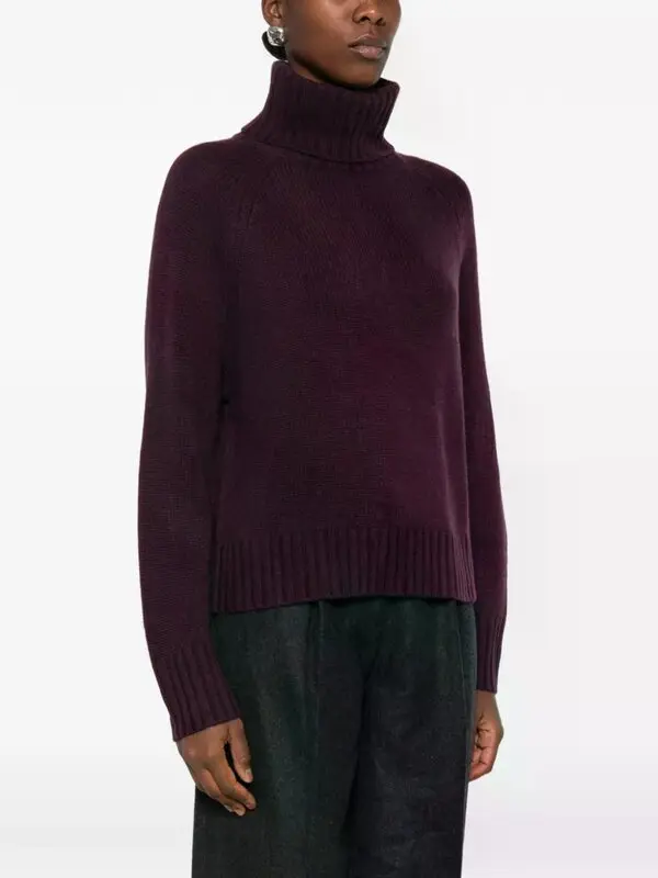 ALLUDE Roll-neck Raglan-sleeve Sweater