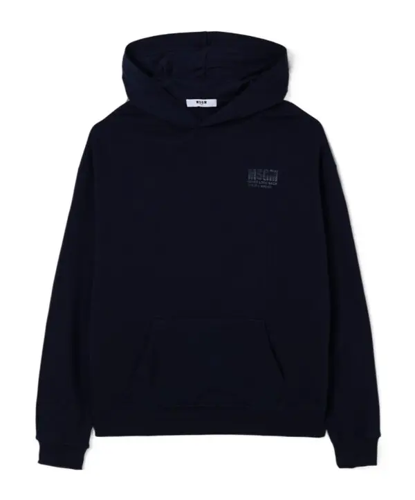 MSGM Logo-print Hoodie - Blue