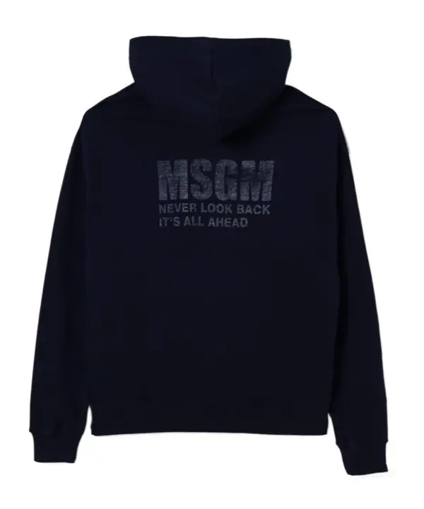 MSGM Logo-print Hoodie - Blue