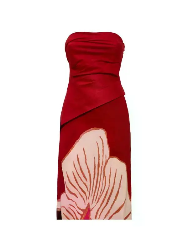 Acler Lingle Floral-print Strapless Maxi Dress