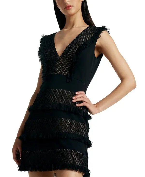 Tadashi Shoji Axl Fringe Dress
