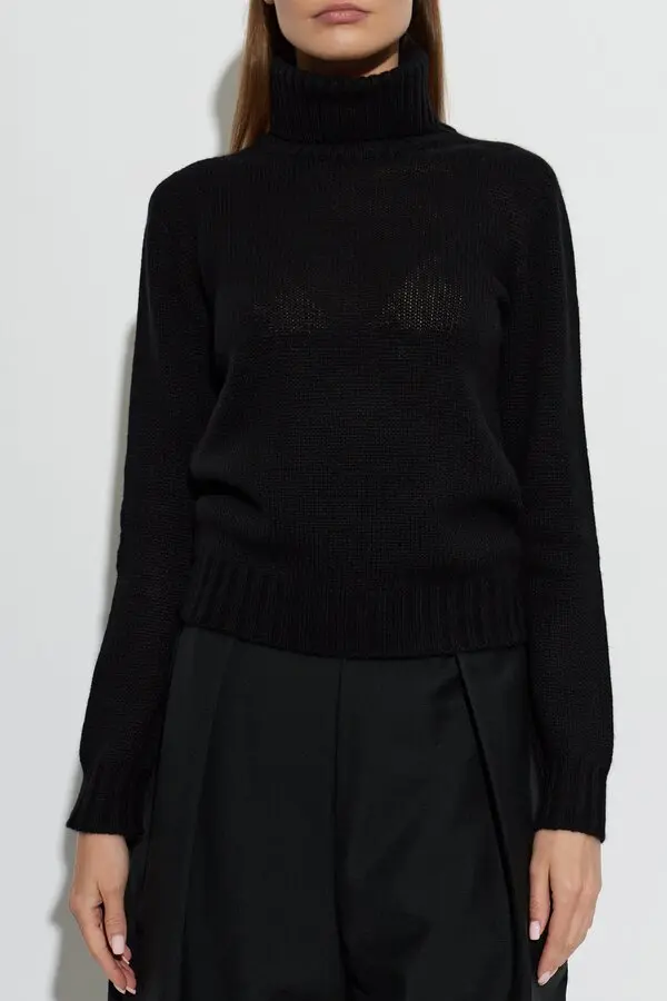 Fabiana Filippi Cashmere Turtleneck Sweater
