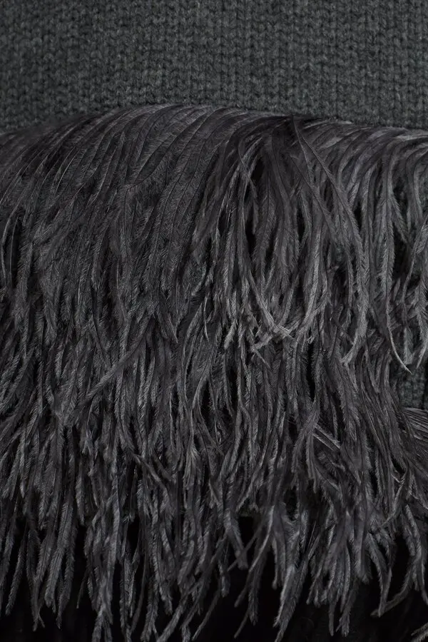 Fabiana Filippi Wool Turtleneck With Ostrich Feathers