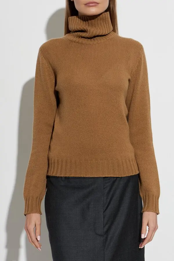 Fabiana Filippi Cashmere Turtleneck Sweater