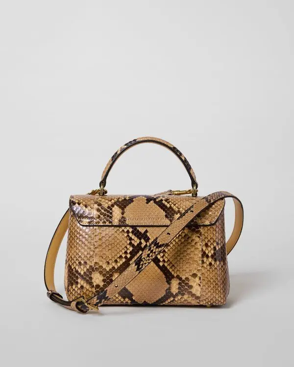 Celine Teen Nino Flap Shoulder Bag