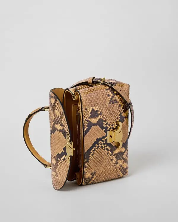 Celine Teen Nino Flap Shoulder Bag