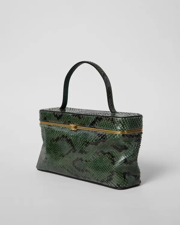 Celine Vanity Frame In Python