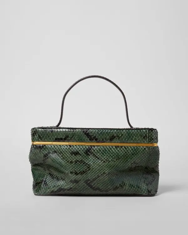 Celine Vanity Frame In Python
