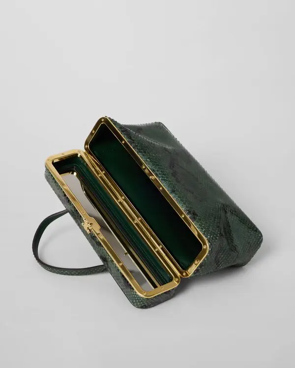Celine Vanity Frame In Python