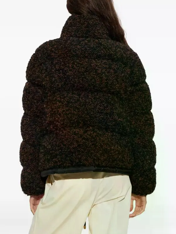 Moncler Trascendance Down Jacket - Brown