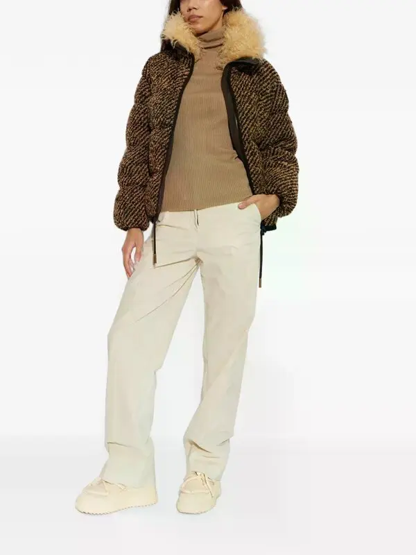 Moncler Dynamique Down Jacket