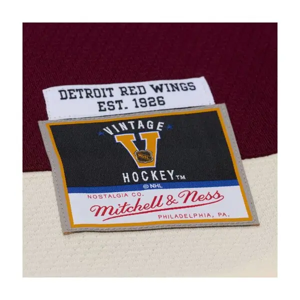 Mitchell & Ness X Just Don Detroit Wings Jersey Hoodie