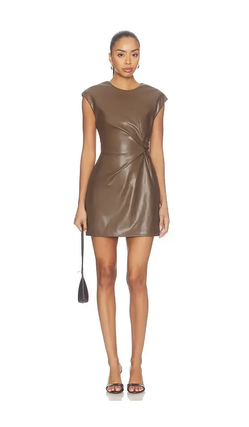 Steve Madden Chiara Mini Dress In Brown
