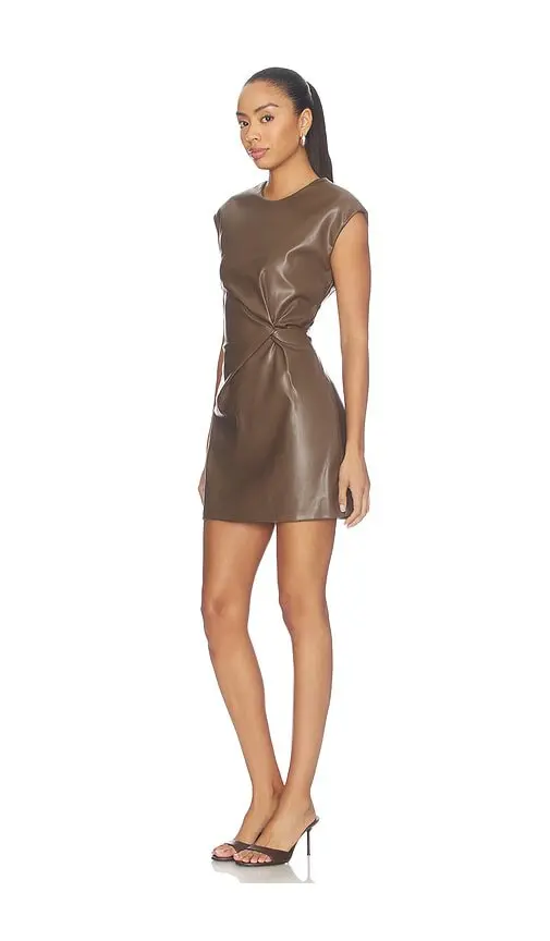 Steve Madden Chiara Mini Dress In Brown