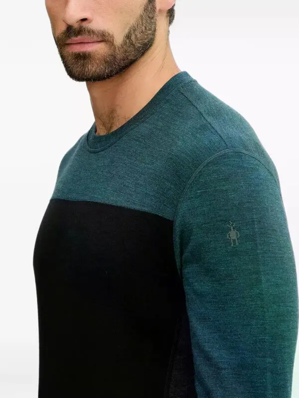 Smartwool Colour-block Long-sleeve Top
