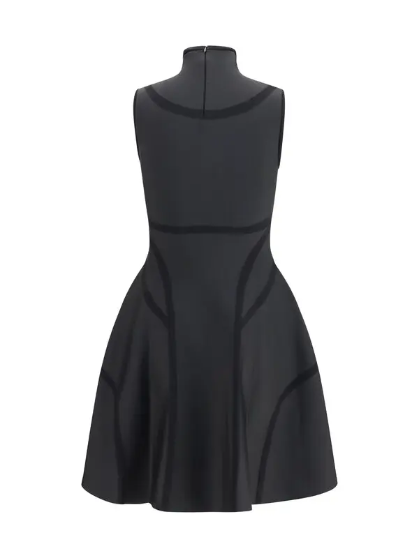 Alexander McQueen Anatomy-line Mini Dress