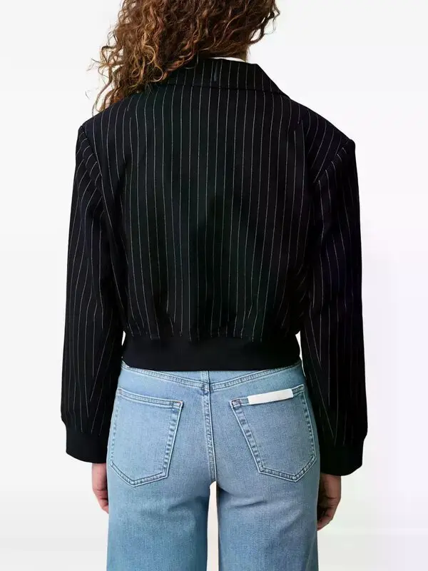 WRSTBHVR Nadeen Pinstripe Cropped Jacket