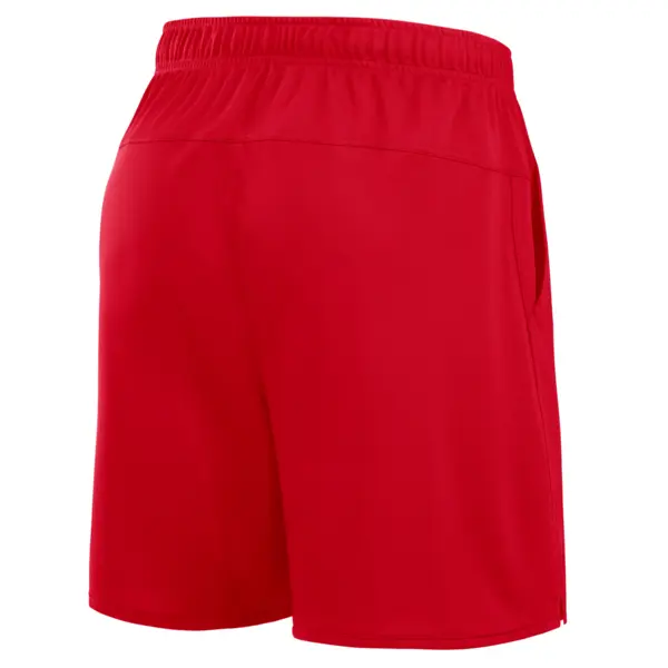Nike Georgia Totality Dri-fit College Shorts