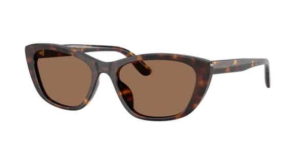 Dolce & Gabbana Sunglass Dg4571 - Dark Brown