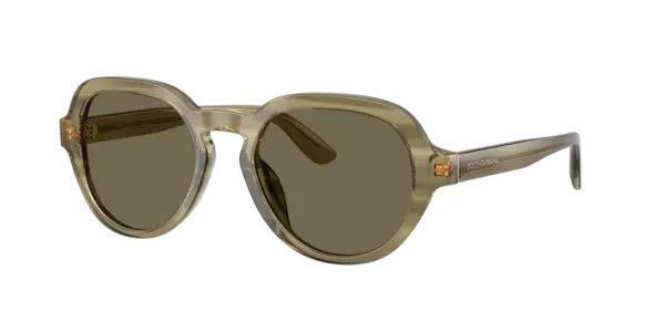 Dolce & Gabbana Sunglass Dg4567 - Brown