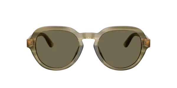 Dolce & Gabbana Sunglass Dg4567 - Brown