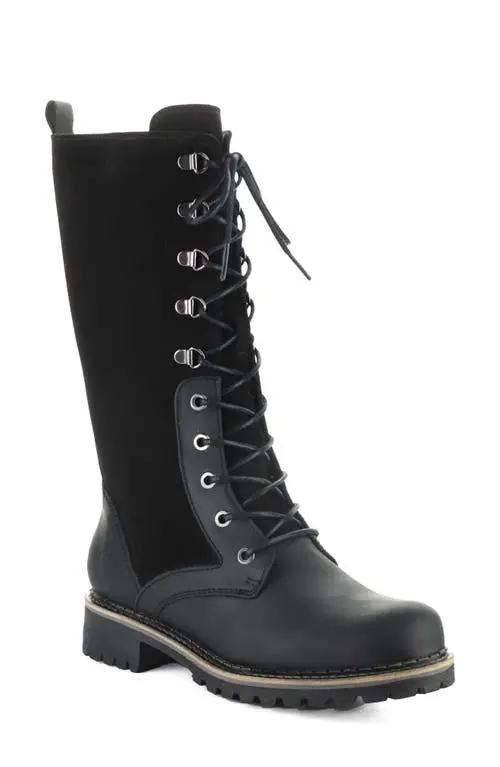 BOS. & CO. Havi Leather Lace-up Tall Boot - Black
