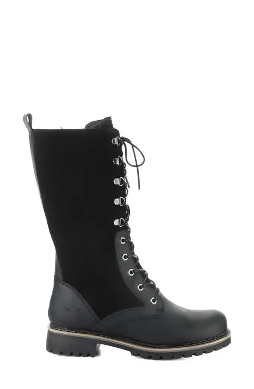 BOS. & CO. Havi Leather Lace-up Tall Boot - Black