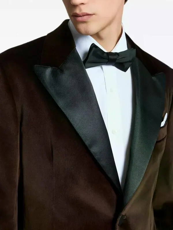 Peserico Velvet Peak-lapel Blazer