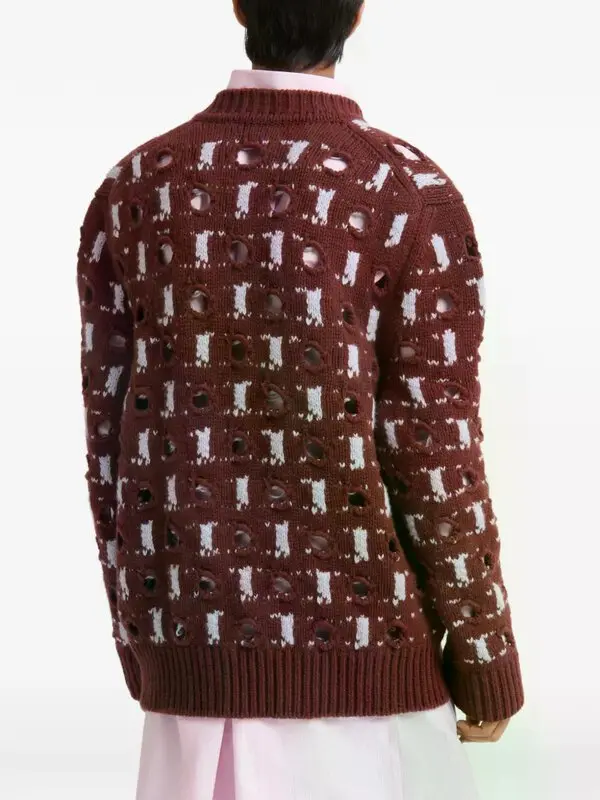 Marni Wool-cashmere Sweater With Cut-out Polka Dots - Brown