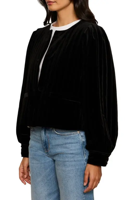 Sanctuary Pepper Velvet Jacket