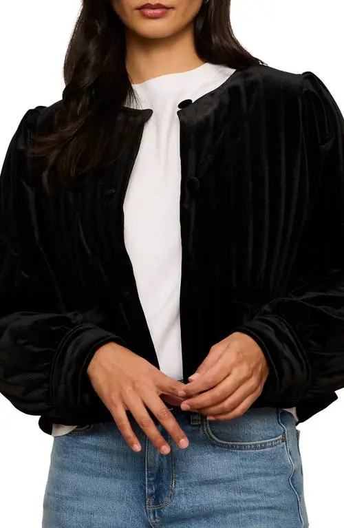 Sanctuary Pepper Velvet Jacket