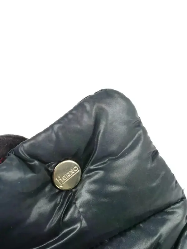 Herno 2010s Dora Padded Coat