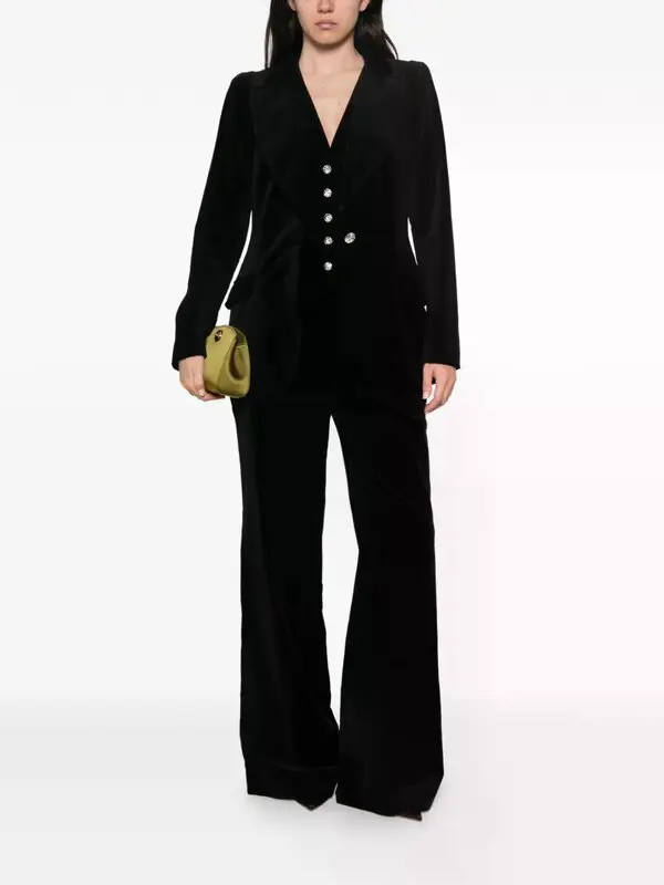 TEMPERLEY LONDON Crystal Clove Velvet Jacket