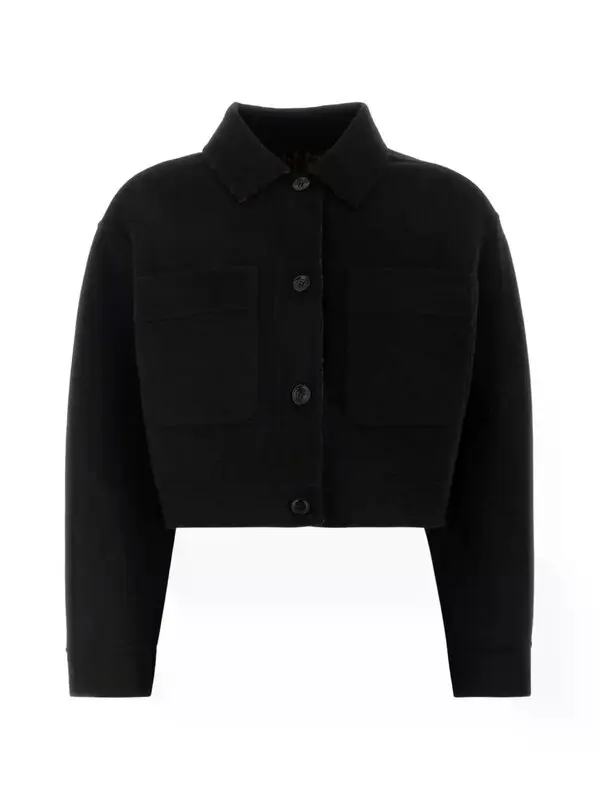 Max Mara Button-up Cropped Jacket - Black