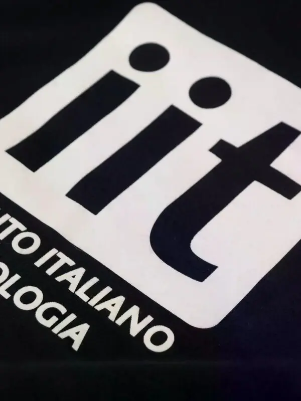 Dolce & Gabbana Logo-print Crew-neck Sweater