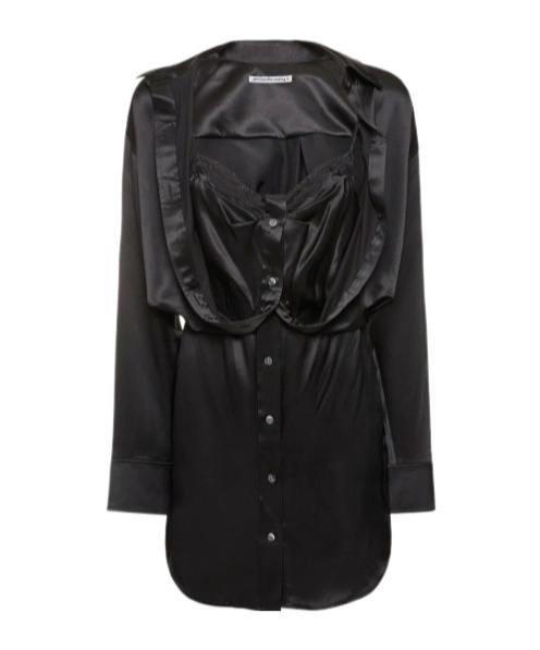 Alexander Wang Shirt Dress