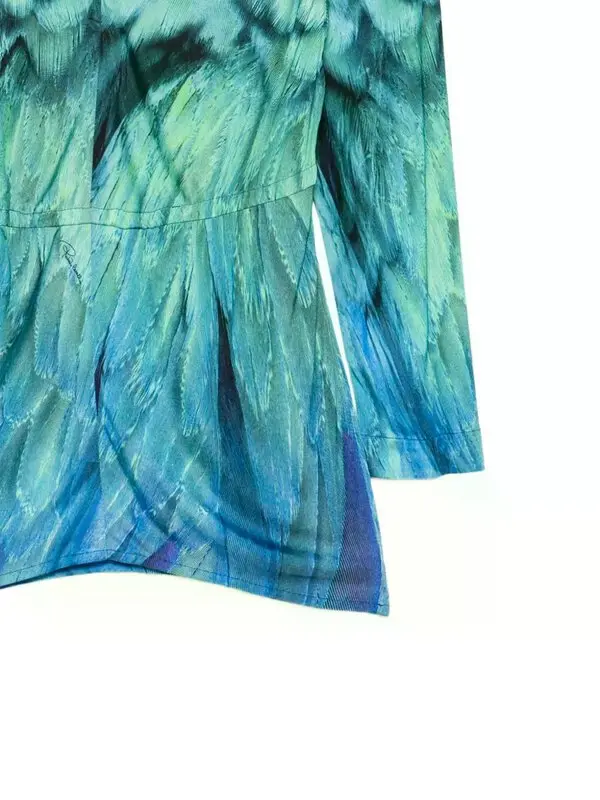 Roberto Cavalli 2000s Feather-print V-neck Top