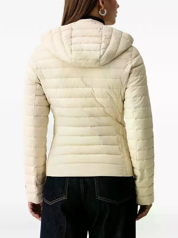 TRUSSARDI Quilted Hooded Jacket