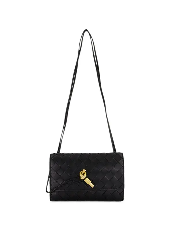 Bottega Veneta Andiamo Leather Mini Bag - Multicolor